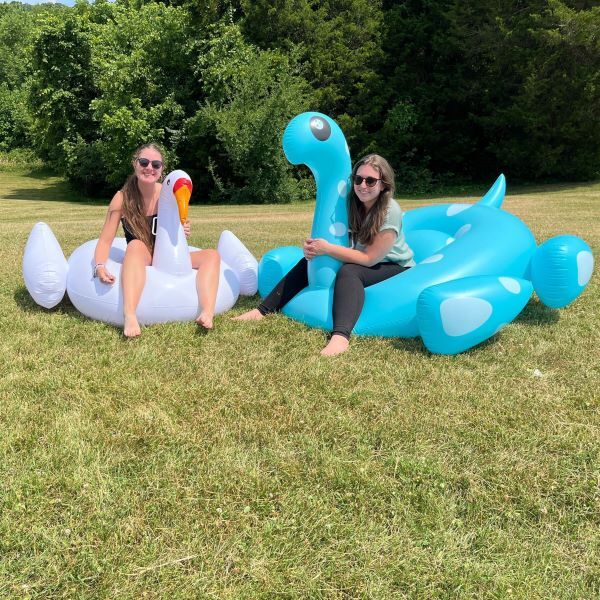 Choose from HUGE Inflatable Loch Ness Monster Lounger Float - 70 x 67 x ...