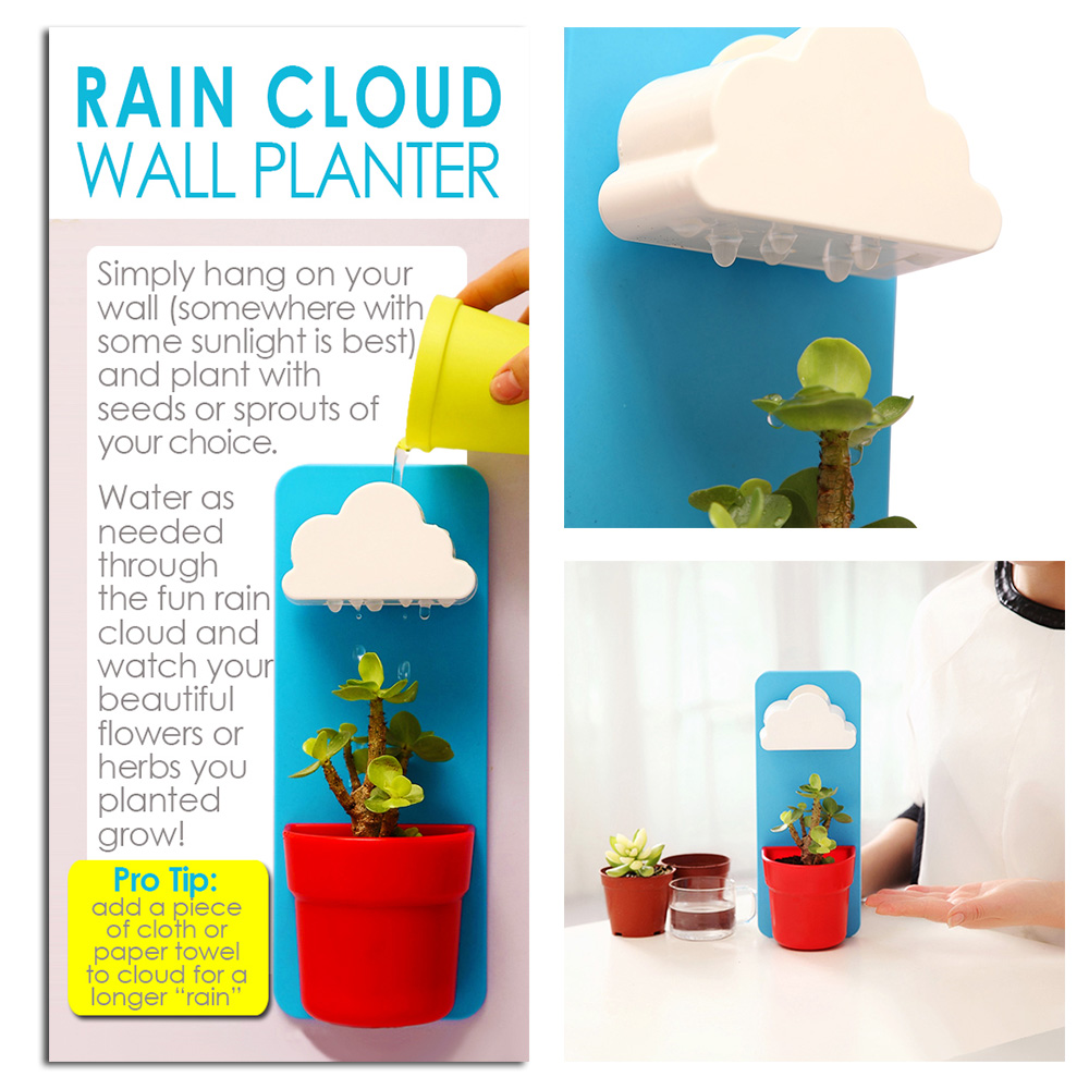 Hanging Rain Cloud Wall Planter - SHIPS FREE! - THAT Daily Deal