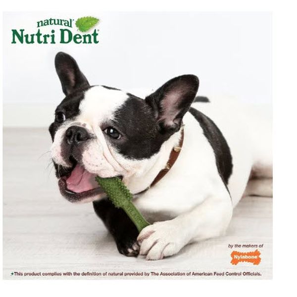 SIX BAGS of 7-count Nylabone Nutri Dent Natural Dental Fresh Breath ...