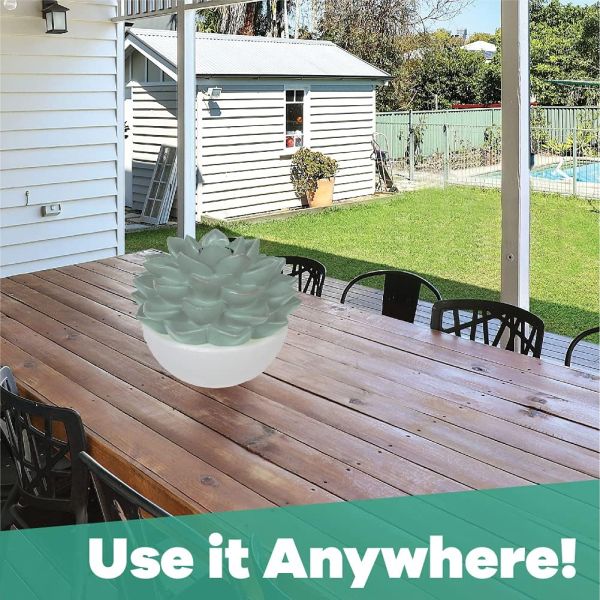 Solar Powered Succulent Patio Glo with Remote - It even floats if you ...