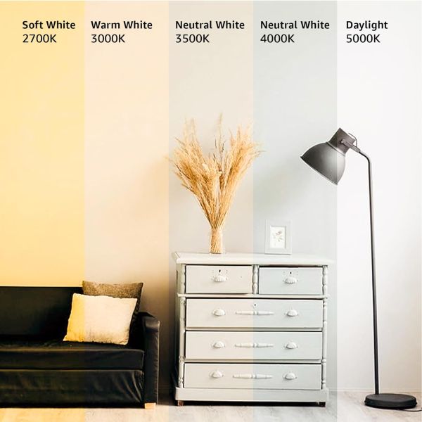 6 PACK of Amazon Basics A19 LED Light Bulbs - 75 Watt Equivalent ...