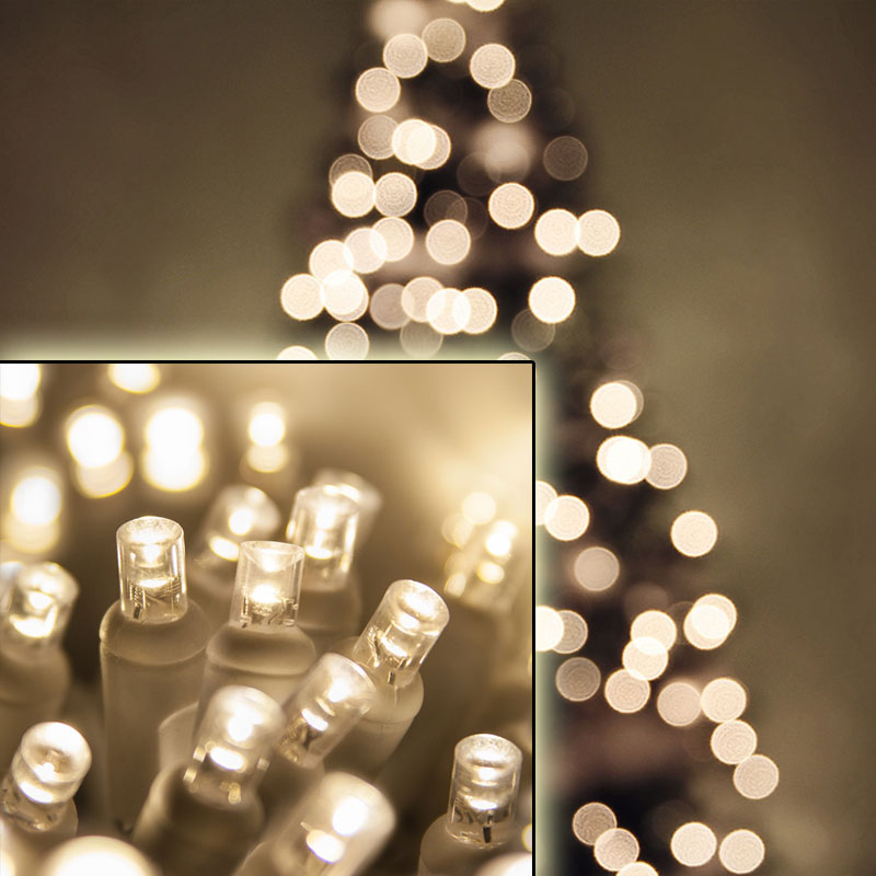 50 LED Warm White End-to-End Connectable Lights Strand - Perfect For ...