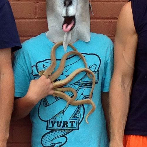 Sea Fingers From The Deep - Set of 5 - THAT Daily Deal