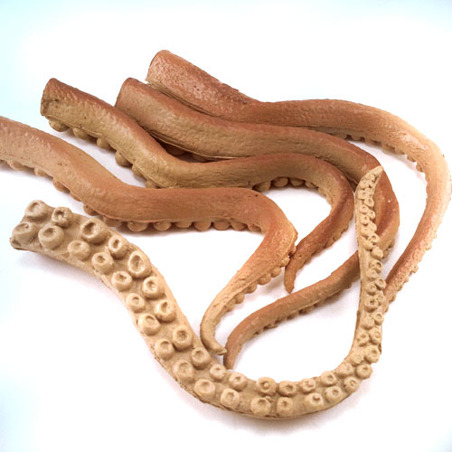 Sea Fingers From The Deep - Set of 5 - THAT Daily Deal