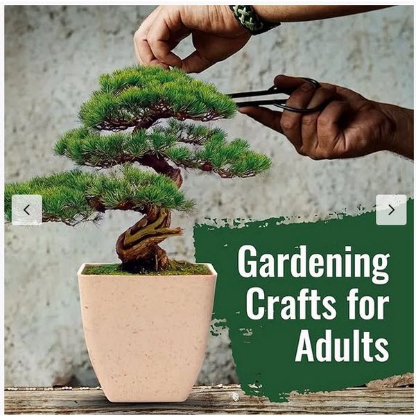 ($30 on amazon - see additional image, just $19.99 from us!) - - Bonsai ...