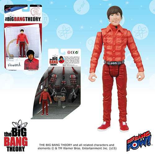 RARE COLLECTOR'S DEAL - Set of 7 Officially Licensed Big Bang Theory ...