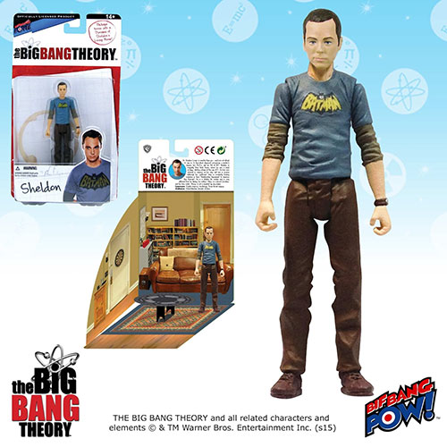 RARE COLLECTOR'S DEAL - Set of 7 Officially Licensed Big Bang Theory ...